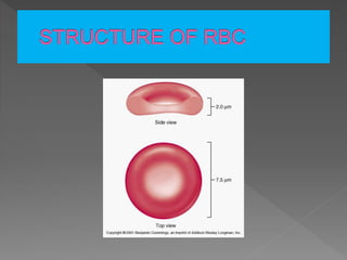 Wbc rbc | PPTX | Blood Disorders | Diseases and Conditions