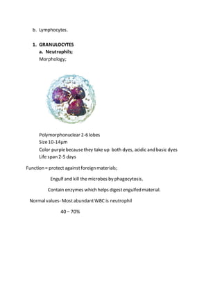 White Blood Cells or WBC's | PDF