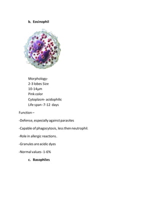 White Blood Cells or WBC's | PDF