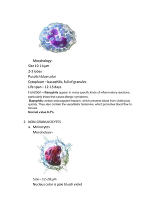 White Blood Cells or WBC's | PDF