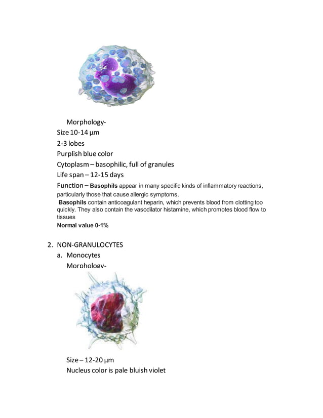 White Blood Cells or WBC's | PDF
