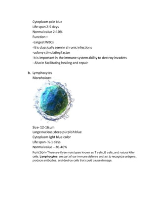 White Blood Cells or WBC's | PDF