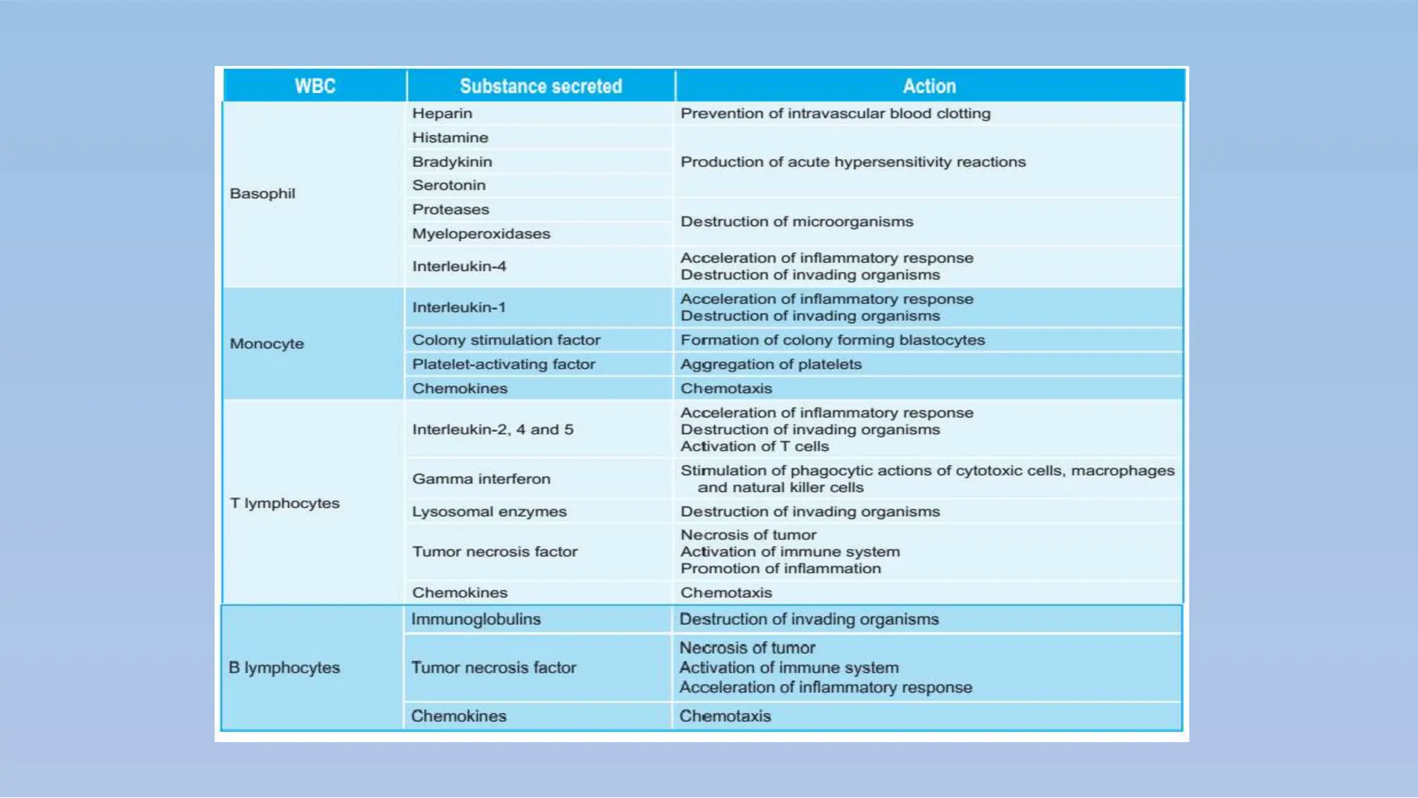 WBCs , structure, synthesize and formation of wbc.pptx