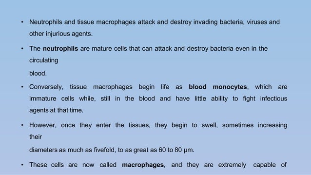 WBCs , structure, synthesize and formation of wbc.pptx