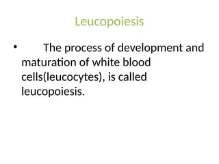 WBCS white blood cells wbc wbcs blood cells | PPTX