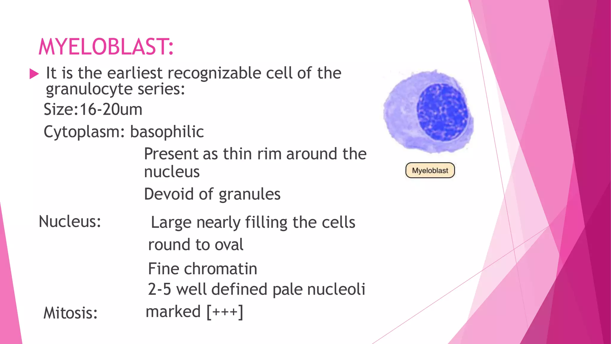 Wb cs maturation | PPTX
