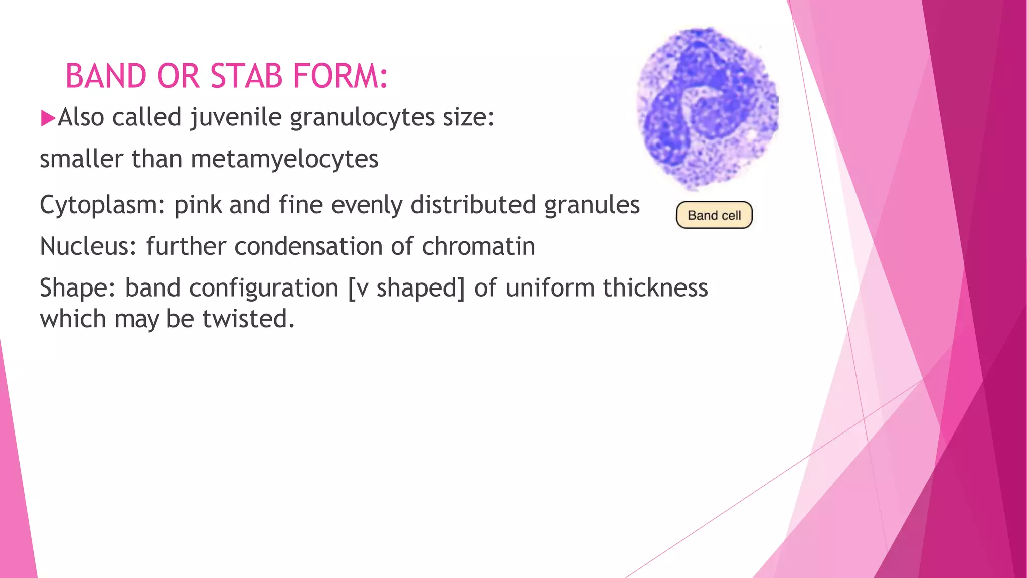 Wb cs maturation | PPTX