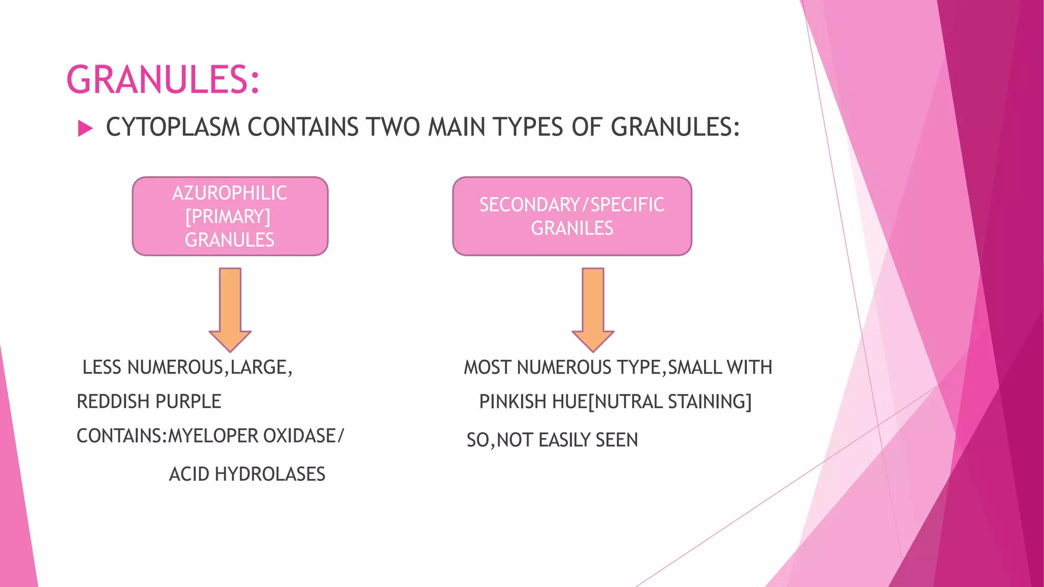 Wb cs maturation | PPTX