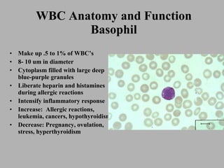 Wbc structure and functions | PPT