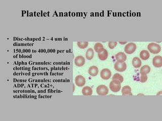 Wbc structure and functions | PPT