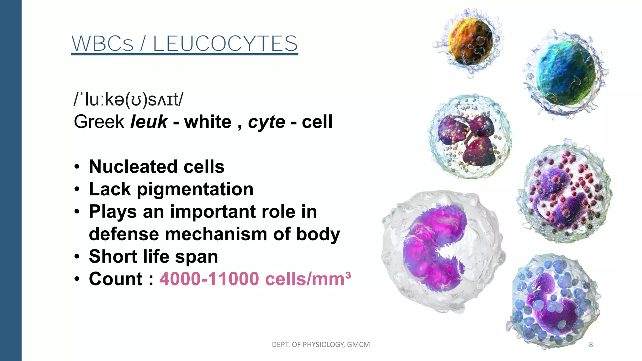 White Blood Cells | PPT