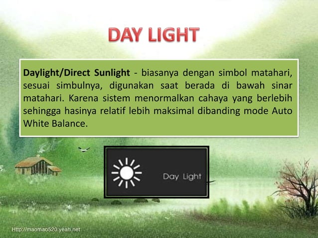 Wb daylight | PPTX