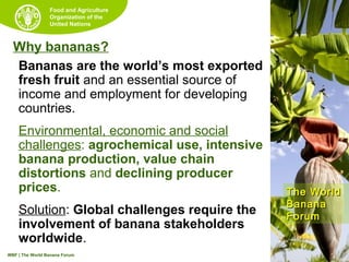 The World Banana Forum | PPT
