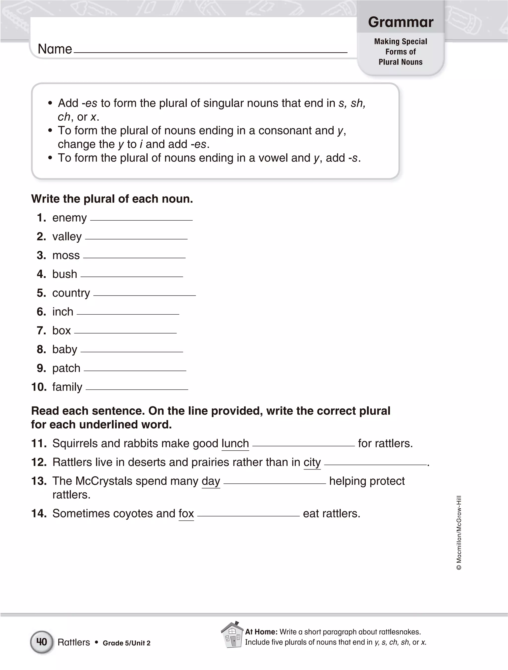 WORKBOOK ENGLISH GRADE 5 | PDF