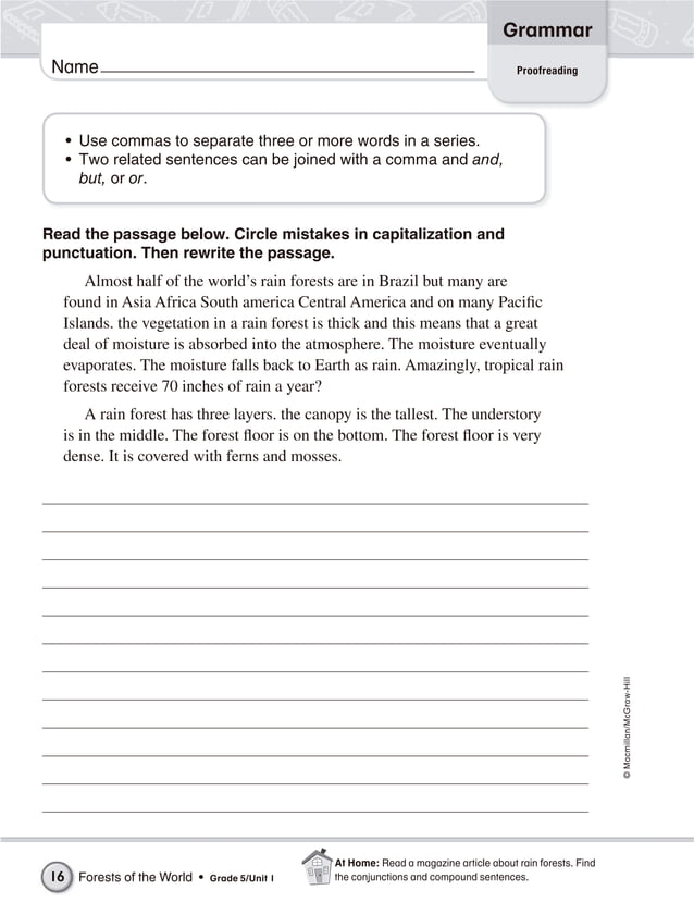 WORKBOOK ENGLISH GRADE 5 | PDF