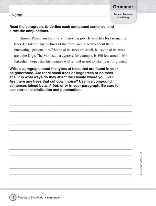 WORKBOOK ENGLISH GRADE 5 | PDF