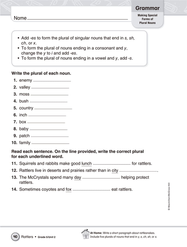 WORKBOOK ENGLISH GRADE 5 | PDF