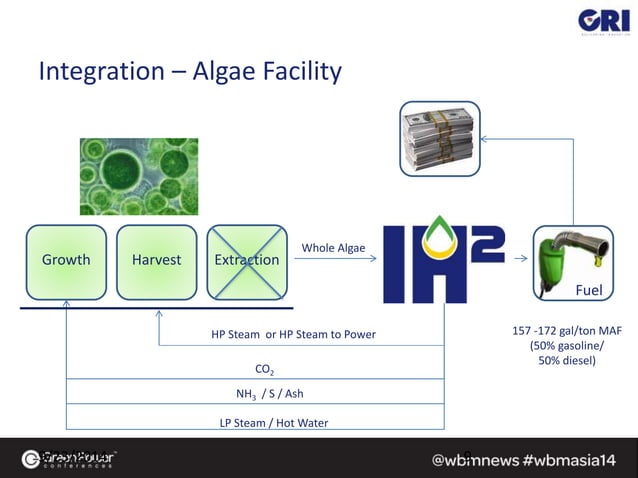 WBM Asia - IH2 Technology: Commercial Progress and Product Quality ...