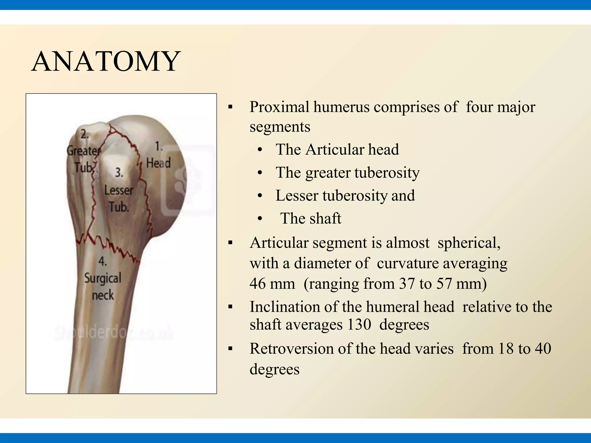 MIPO TECHNIQUE FOR PROXIMAL HUMERUS FRACTURE | PPTX