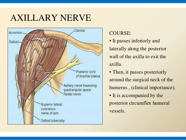 MIPO TECHNIQUE FOR PROXIMAL HUMERUS FRACTURE