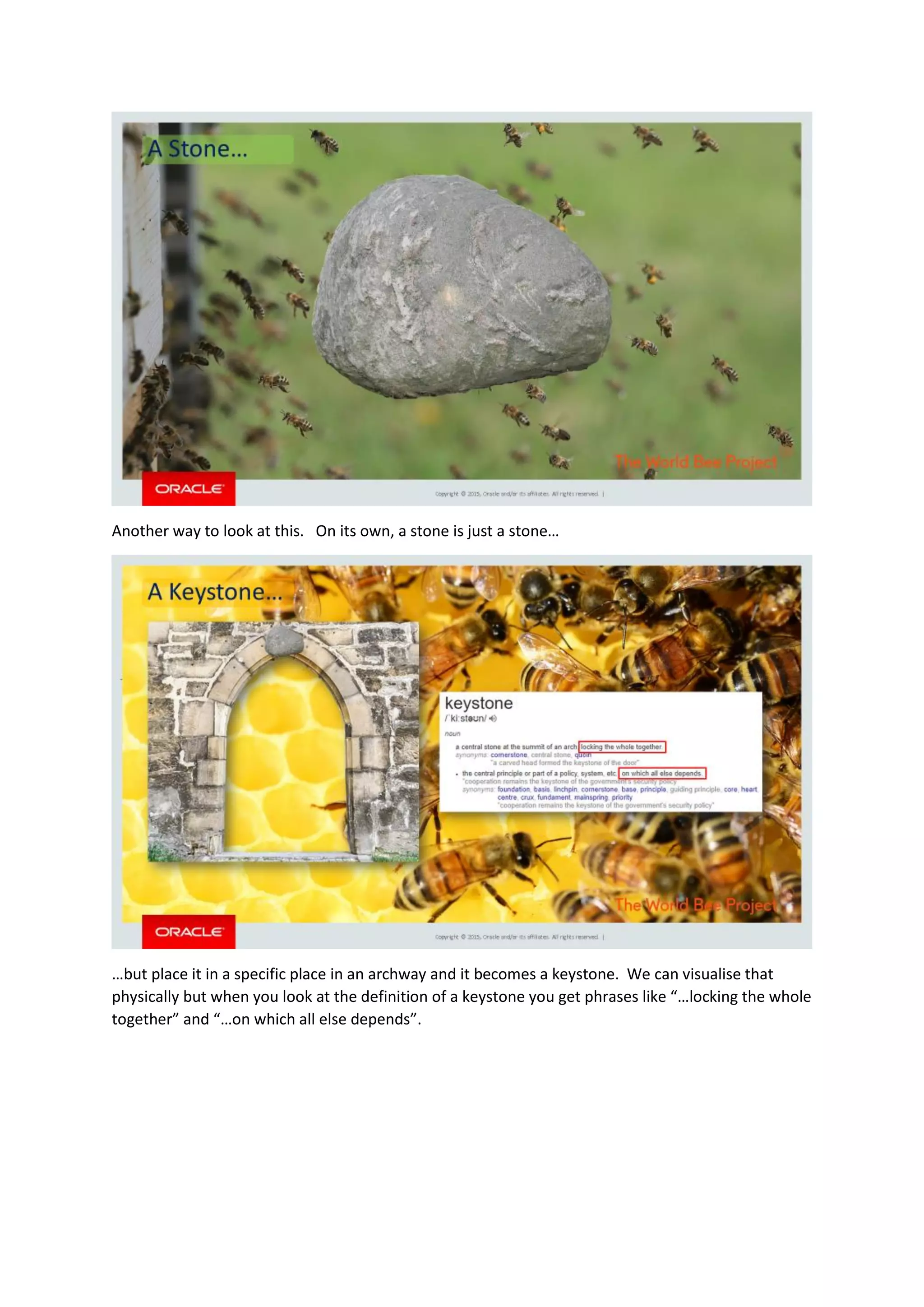 World Bee Project - The Connected Hive & The Future of Farming | PDF