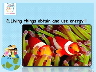 WBSE Class IV-Science | PPT