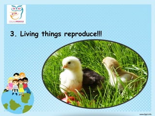 WBSE Class IV-Science | PPT