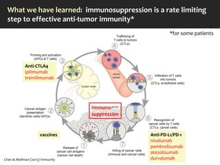 The immunotherapy of cancer: past, present & the next frontier | PDF