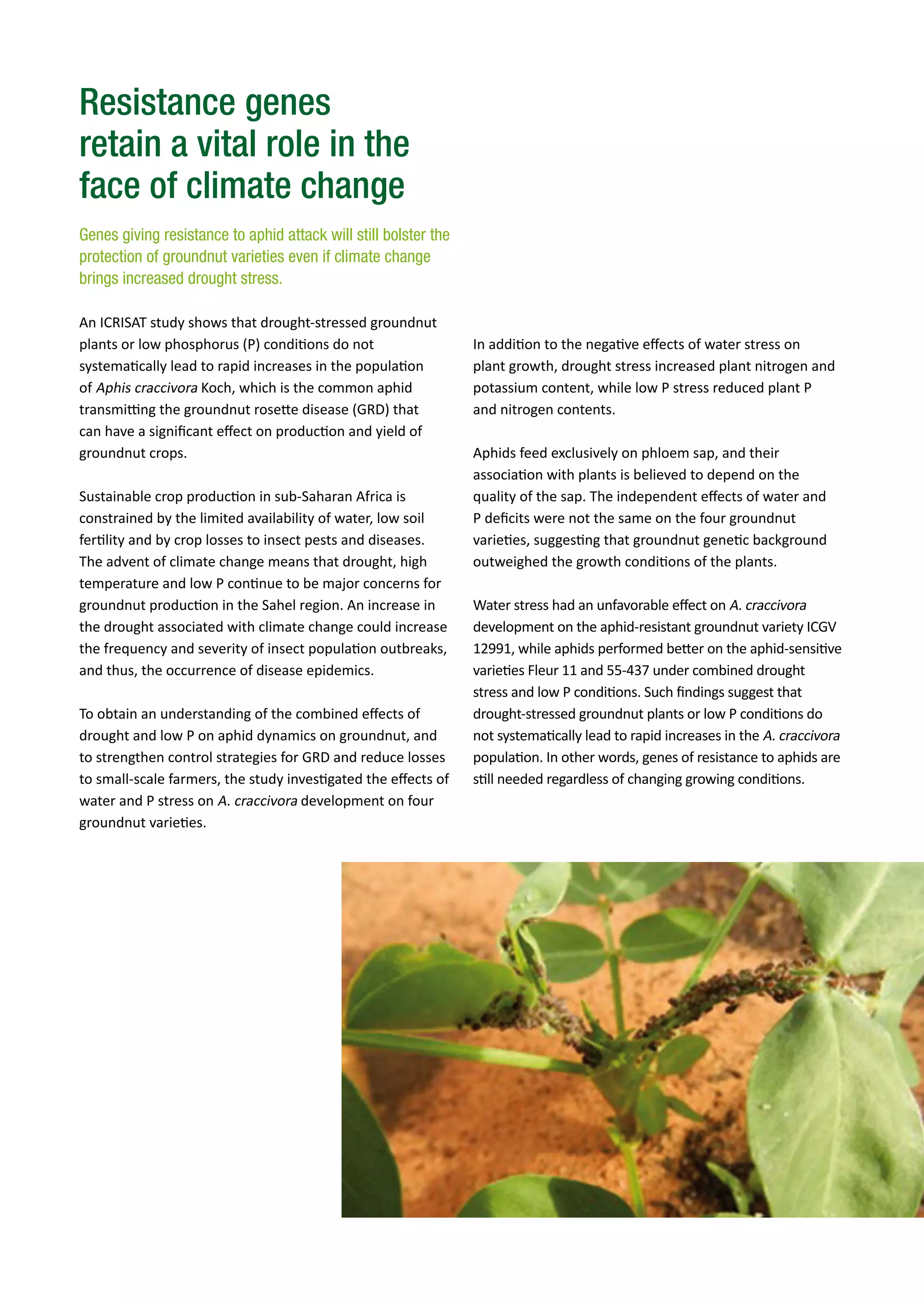 Resistance genes retain a vital role in the face of climate change | PDF