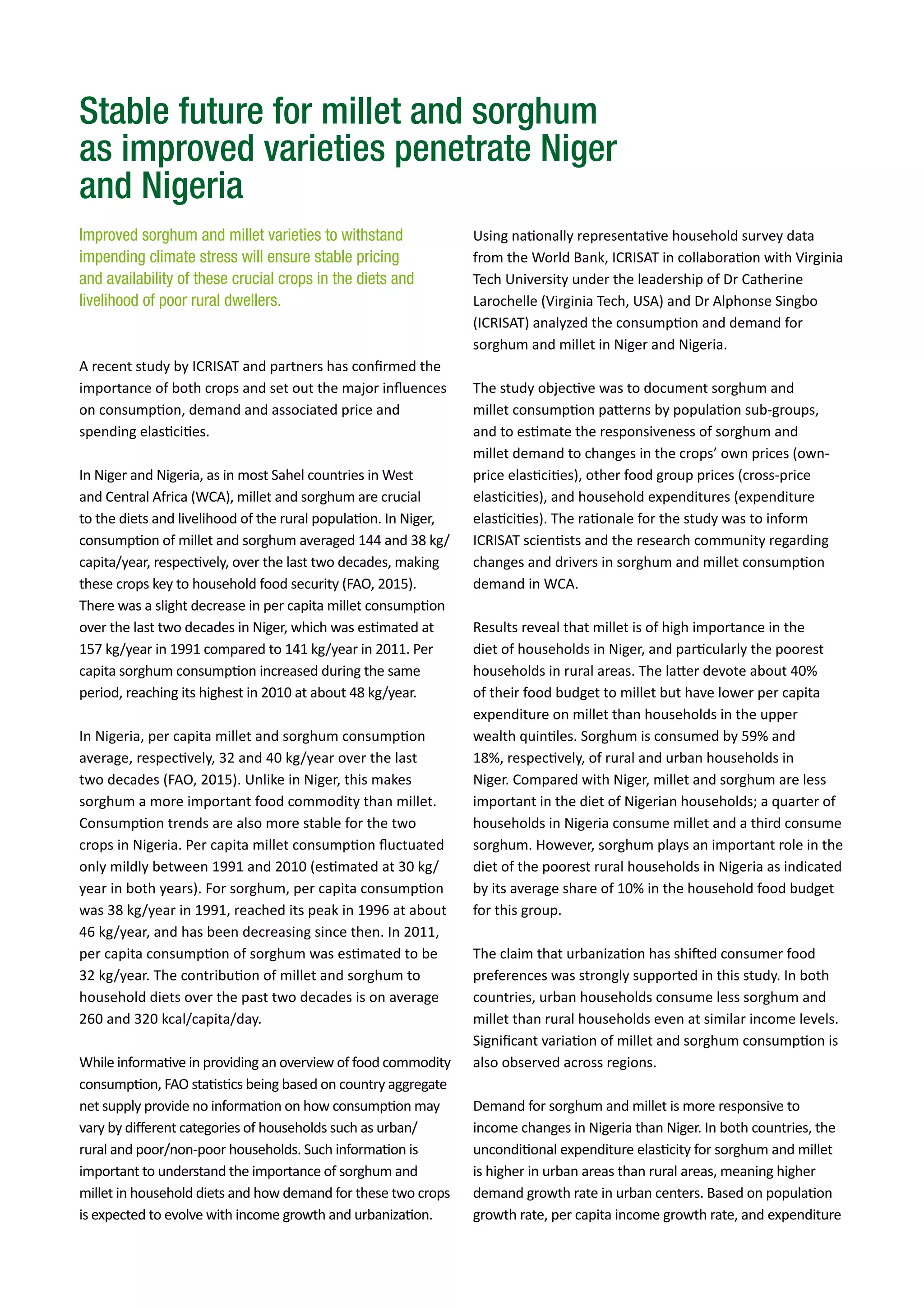 Stable future for millet and sorghum as improved varieties penetrate ...