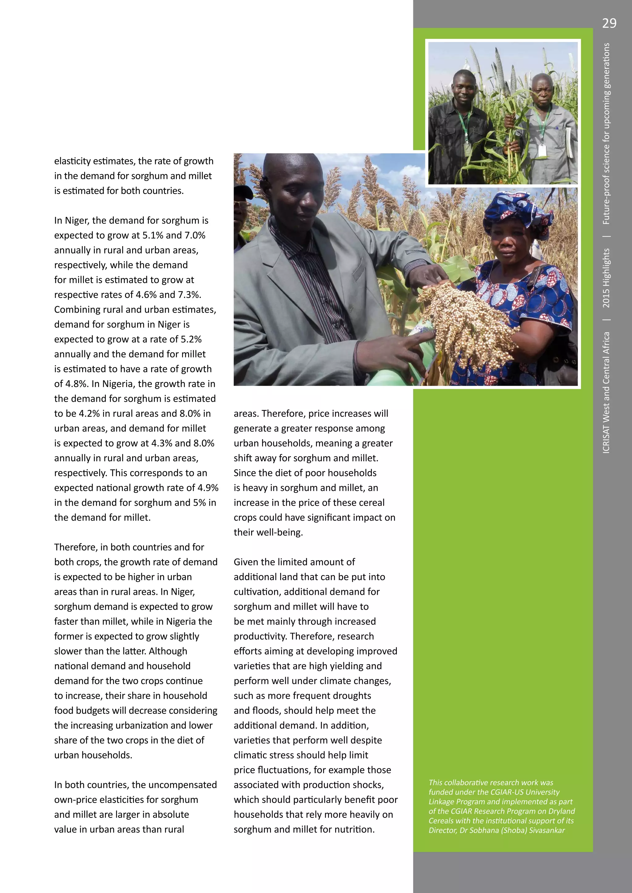 Stable future for millet and sorghum as improved varieties penetrate Niger and Nigeria | PDF ...
