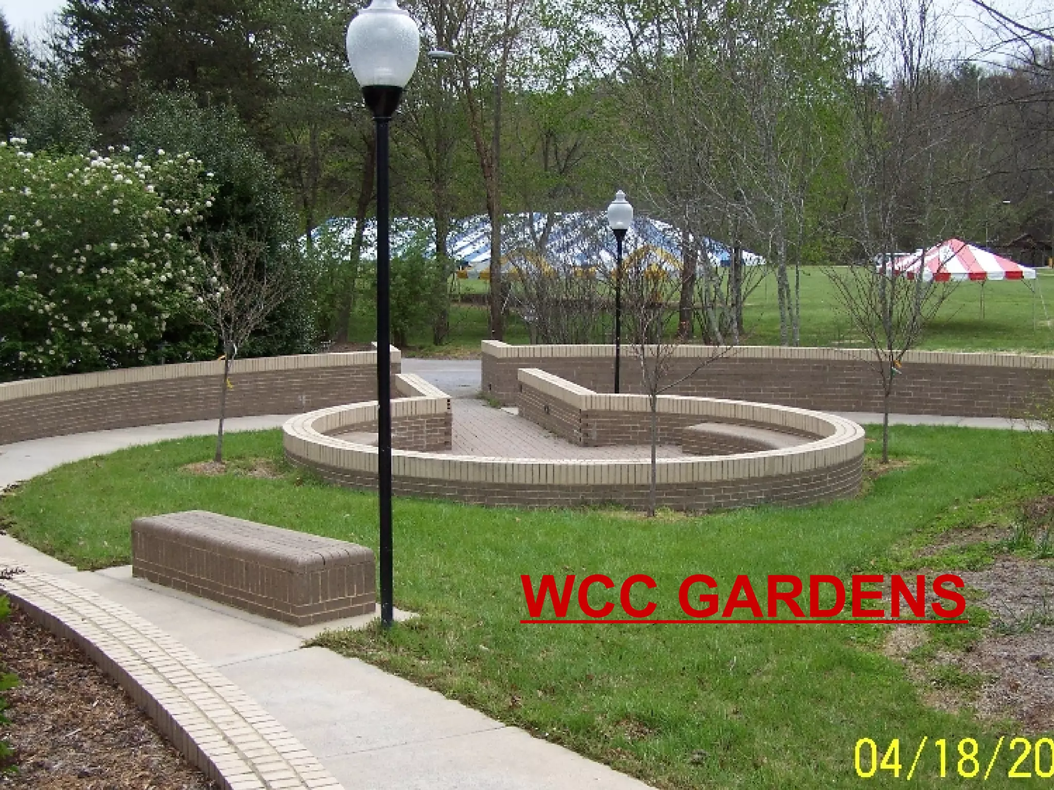 WCC pictures | PPT