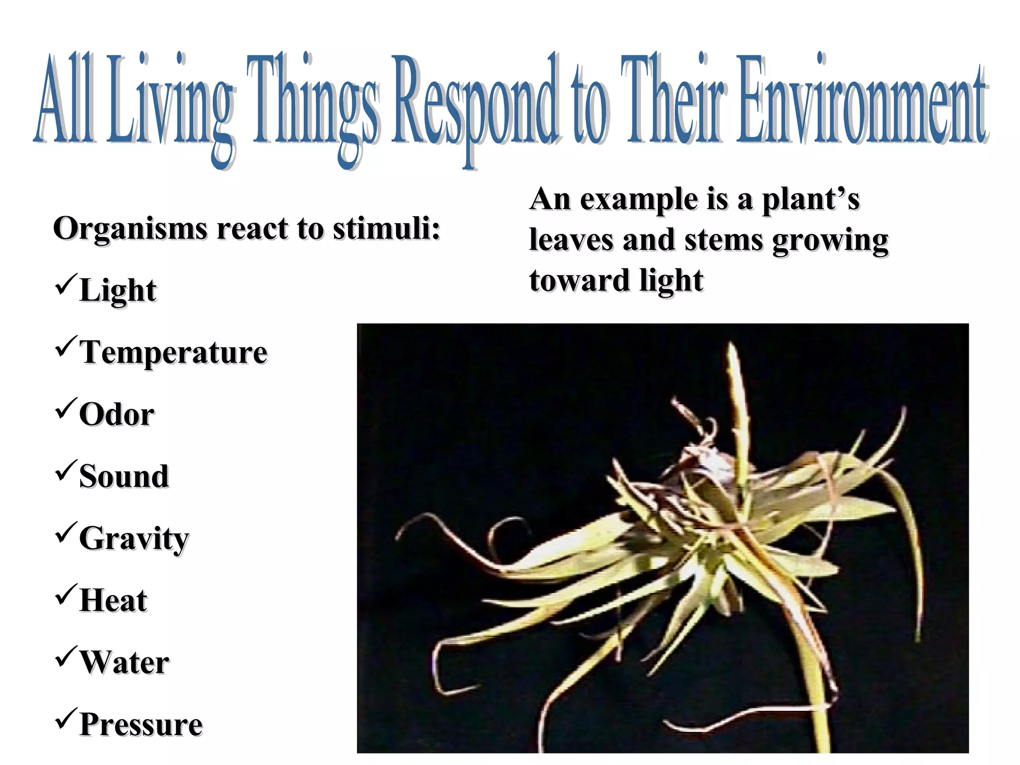 WCCCD - BIO 155 POWERPOINT on Ch 1 Characteristics of Life Part I.pdf