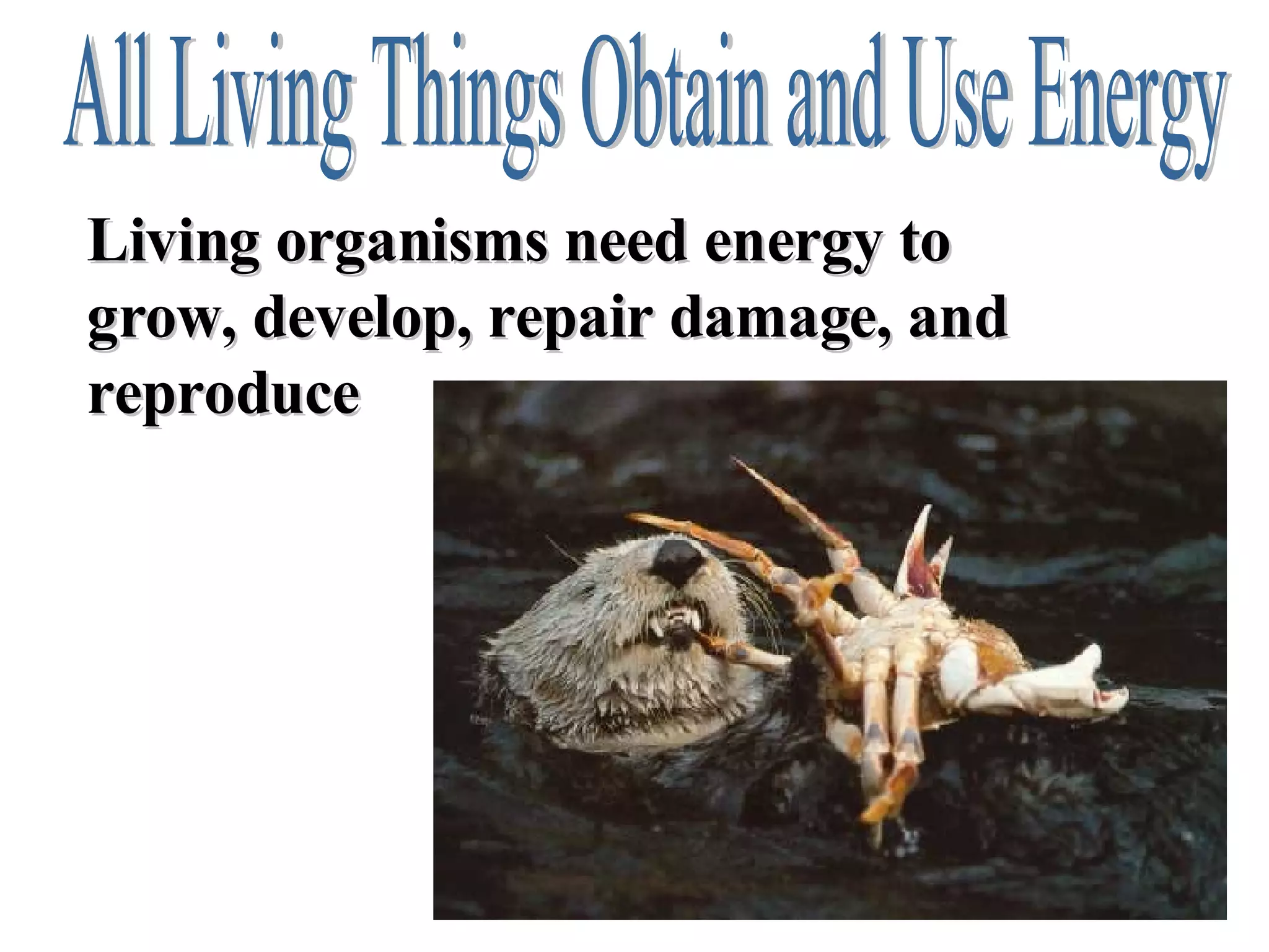 WCCCD - BIO 155 POWERPOINT on Ch 1 Characteristics of Life Part I.pdf