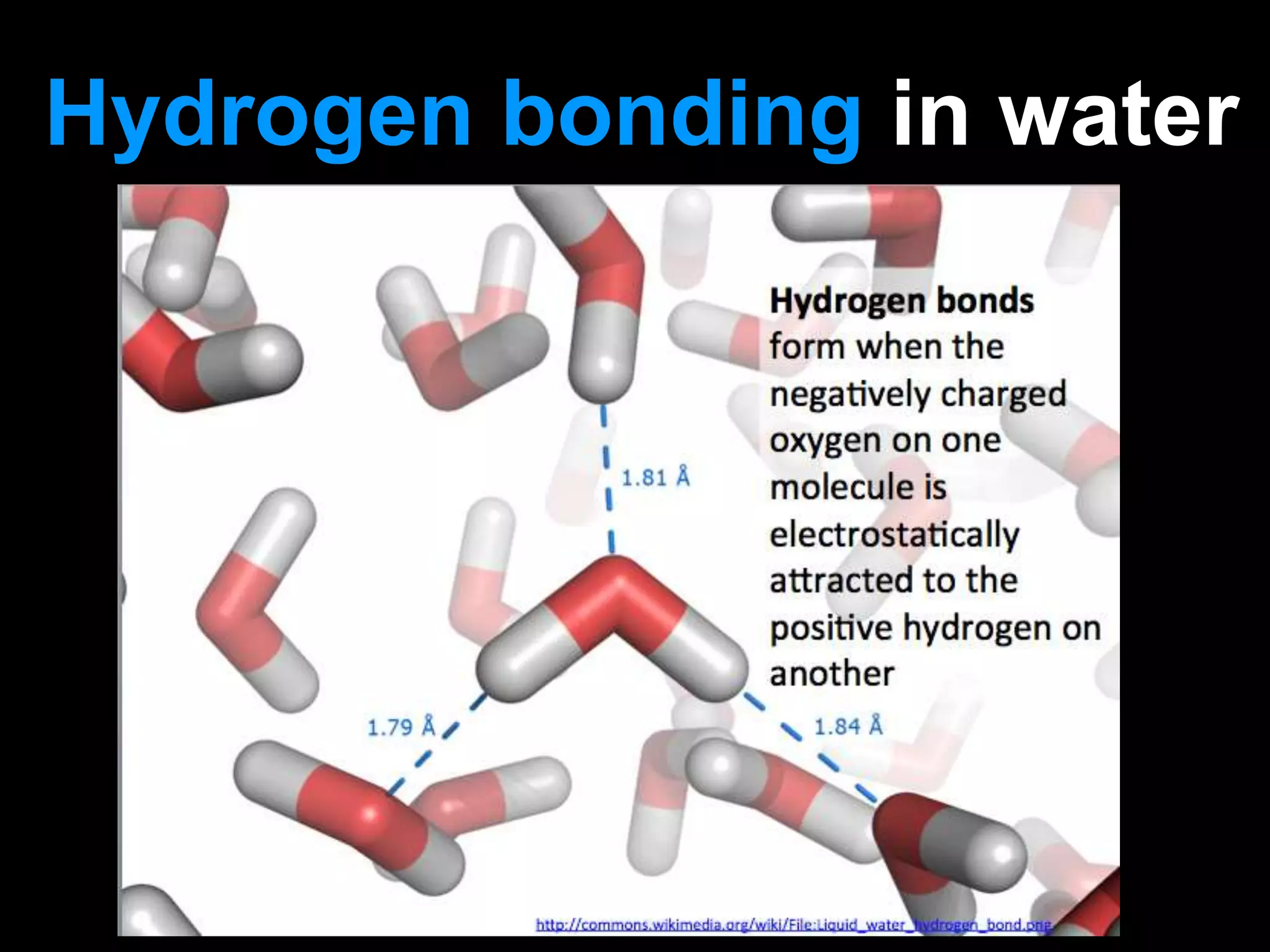 WCCCD - BIO 155 POWERPOINT on Ch 2 Properties of Water Part 1.pdf