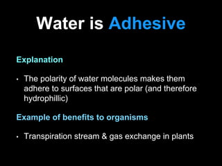 WCCCD - BIO 155 POWERPOINT on Ch 2 Properties of Water Part 1.pdf