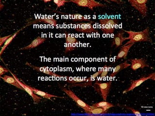 WCCCD - BIO 155 POWERPOINT on Ch 2 Properties of Water Part 1.pdf