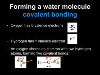 WCCCD - BIO 155 POWERPOINT on Ch 2 Properties of Water Part 1.pdf
