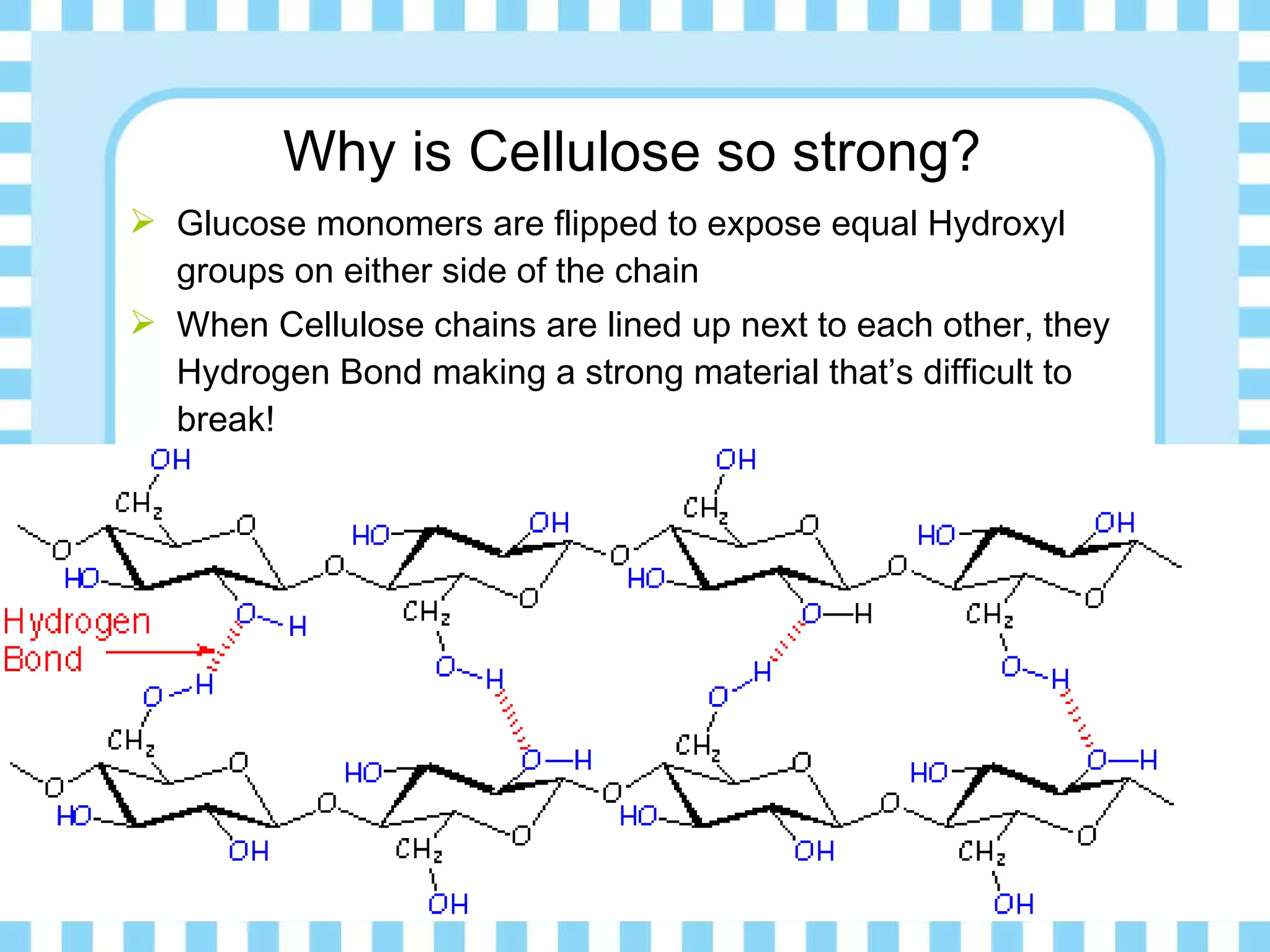 WCCCD - BIO 155 POWERPOINT on Ch 3 The Chemical Building Blocks of Life ...