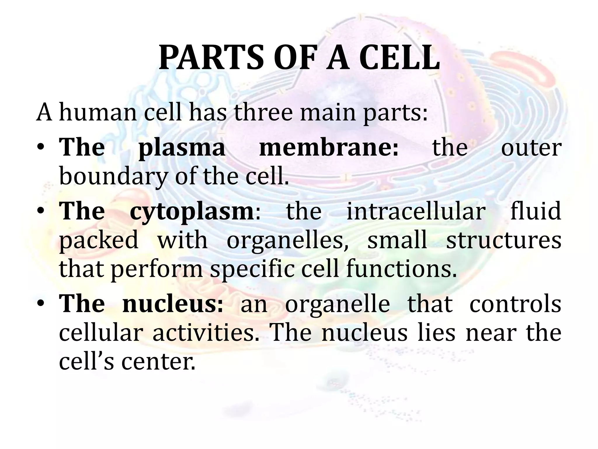 WCCCD - BIO 155 POWERPOINT on Ch 4 Cell Structure.pdf