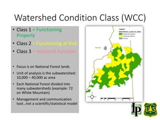 Wcc intro_Sheela Johnson | PPT