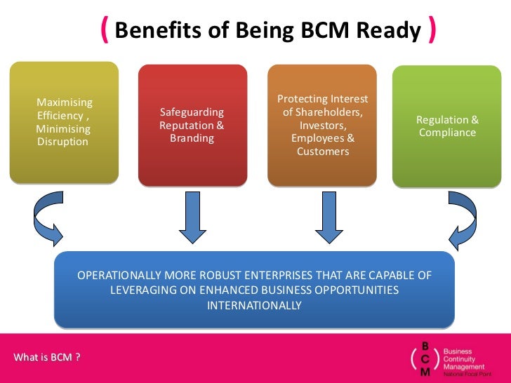 Managing and Implementing a National BCM Programme: A World's First