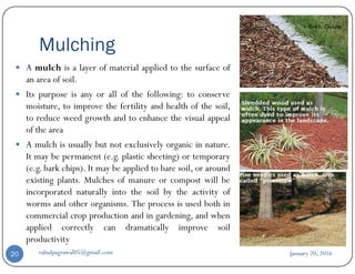 Wce agronomic water conservation measures | PPT