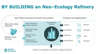 Piia Maaranen WCEF2019: Hands on venturing program for building new ...