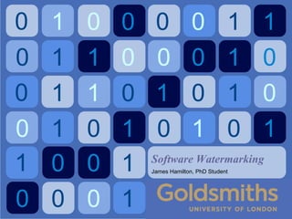 Static Software Watermarking | PDF