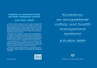 Guidelines on Occupational Safety and Health Management Systems ILO-OSH ...