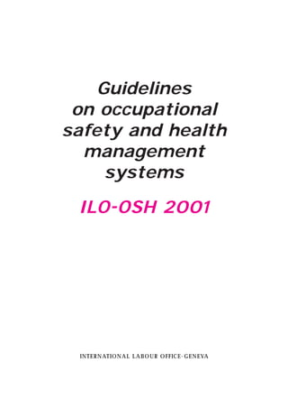 Guidelines on Occupational Safety and Health Management Systems ILO-OSH ...