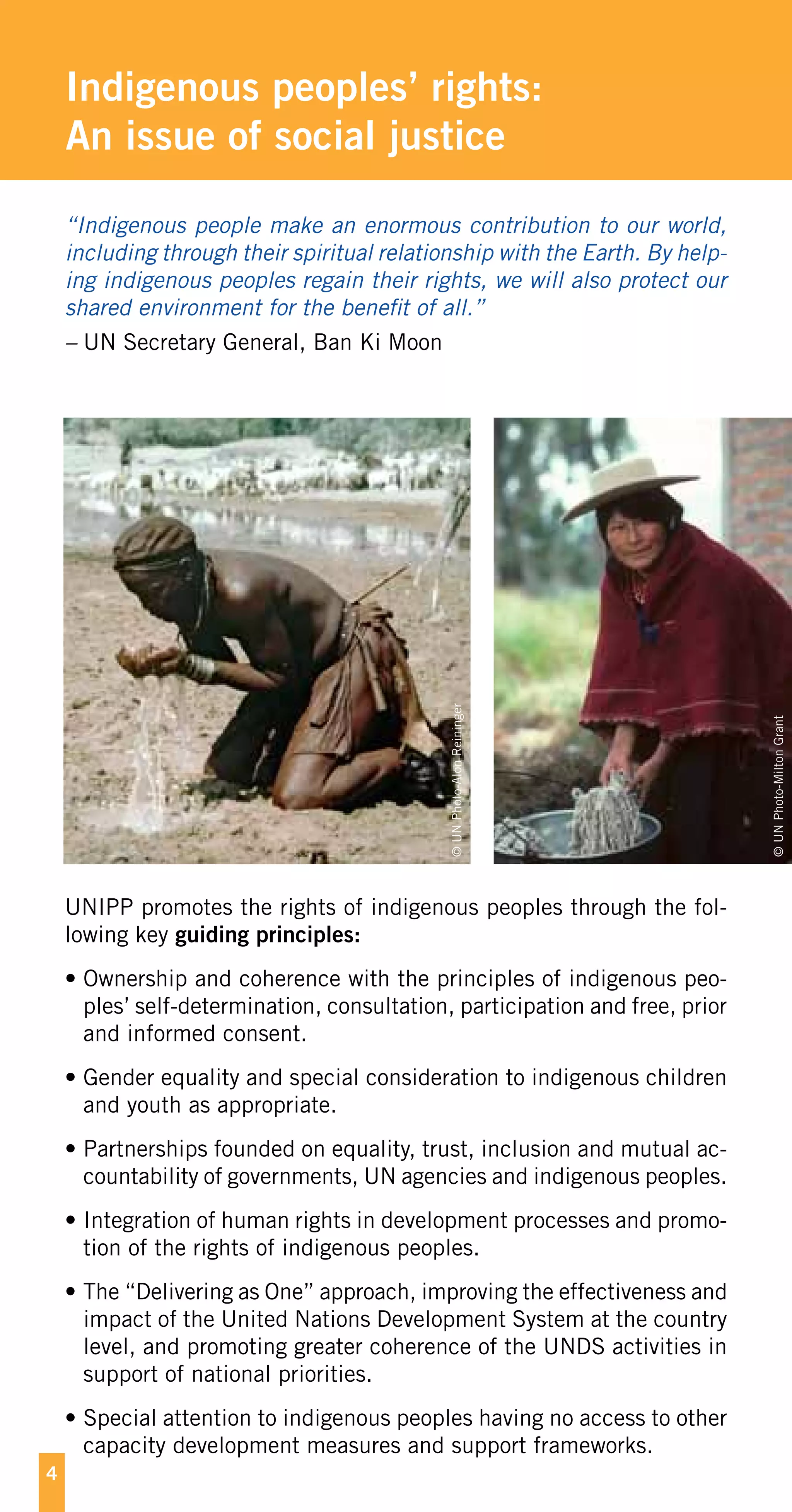 United Nations Indigenous Peoples’ Partnership (UNIPP) Delivering as ...