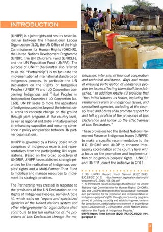 United Nations Indigenous Peoples Partnership (UNIPP) Strategic Framework 2011-2015 | PDF