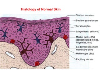 Dermatopathology_(4th_Year).ppt